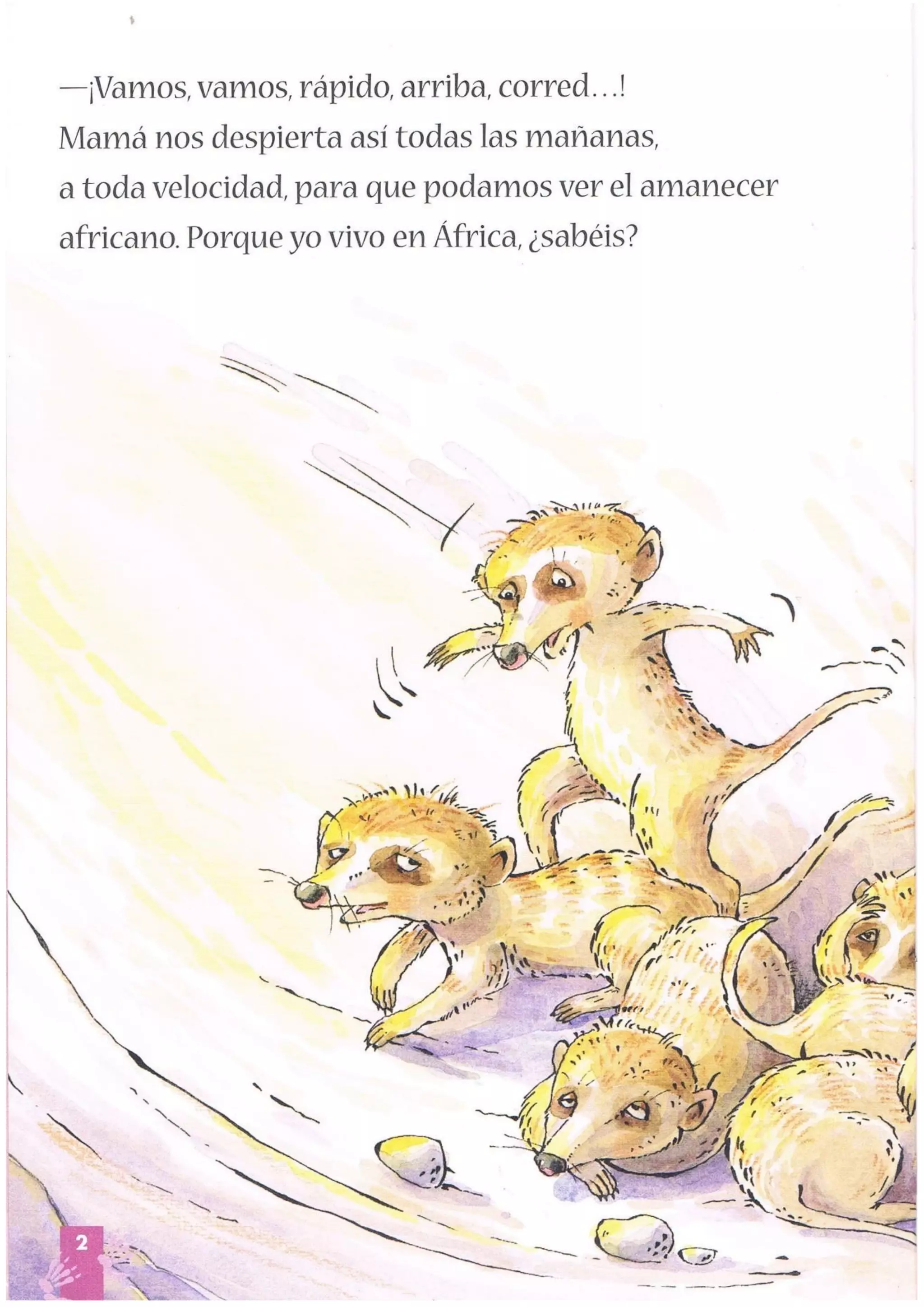 Riki suricata africano | PDF