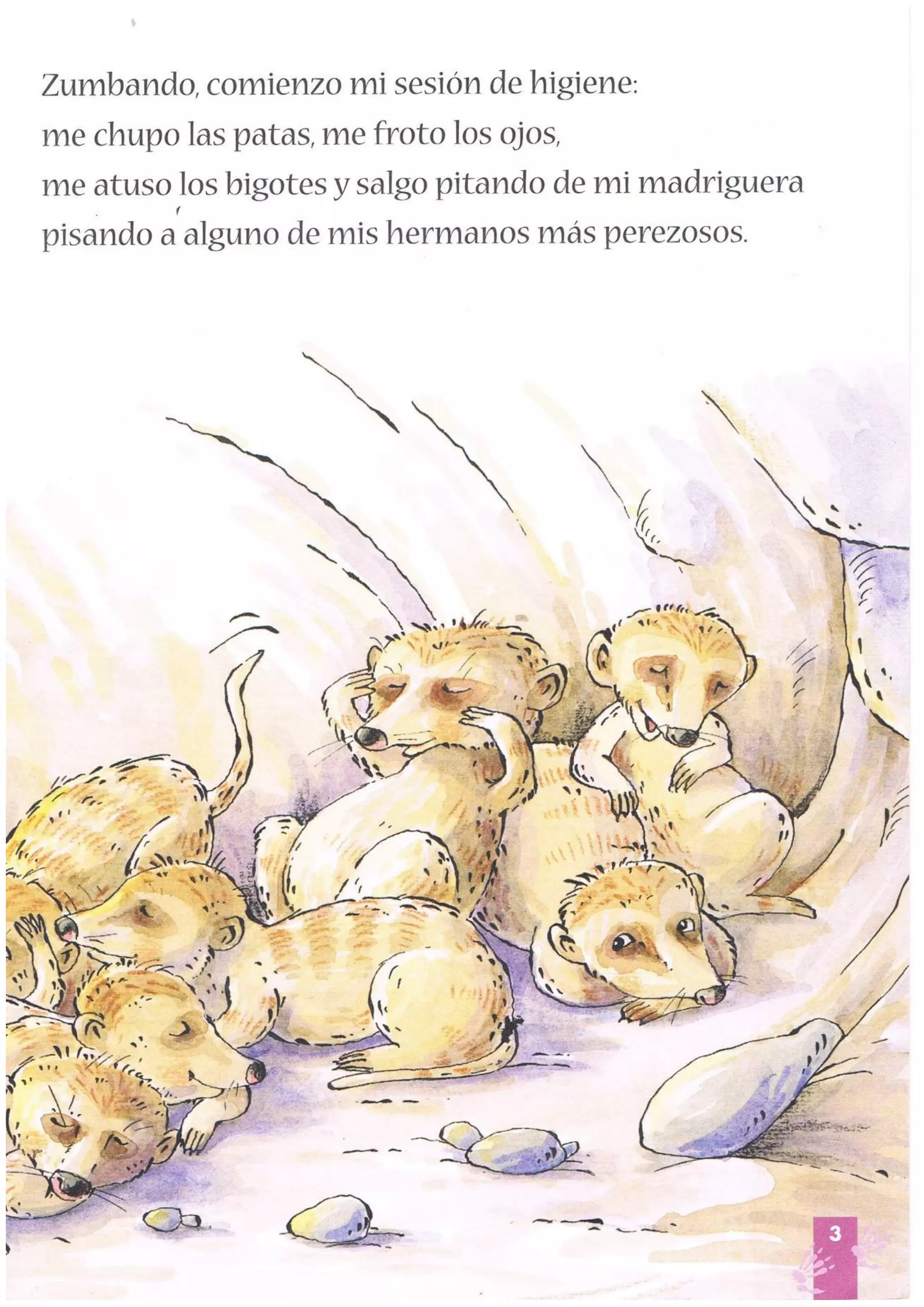 Riki suricata africano | PDF