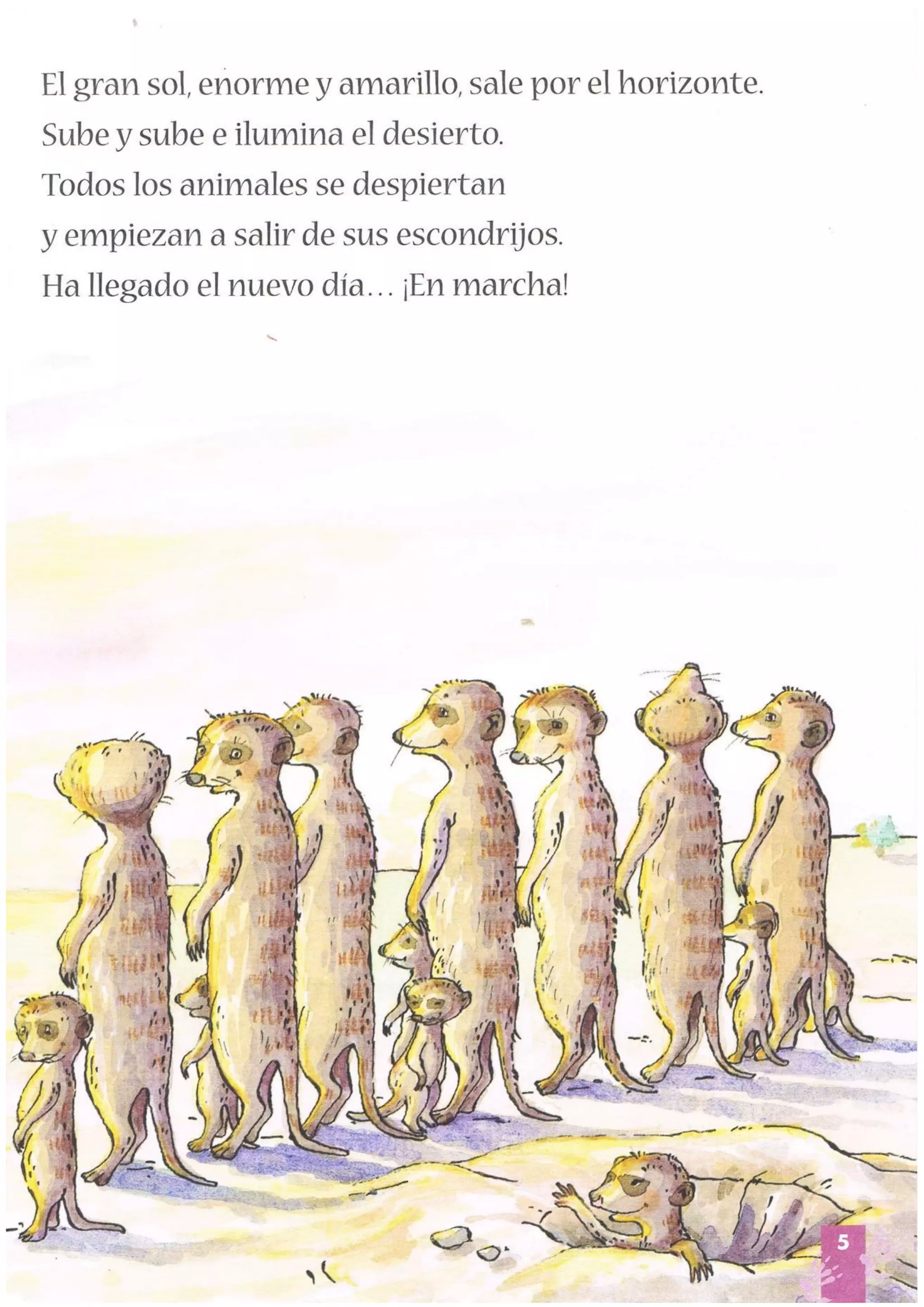 Riki suricata africano | PDF