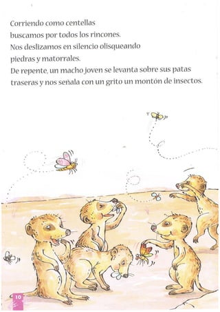 Riki suricata africano | PDF