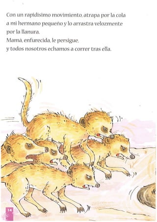 Riki suricata africano | PDF