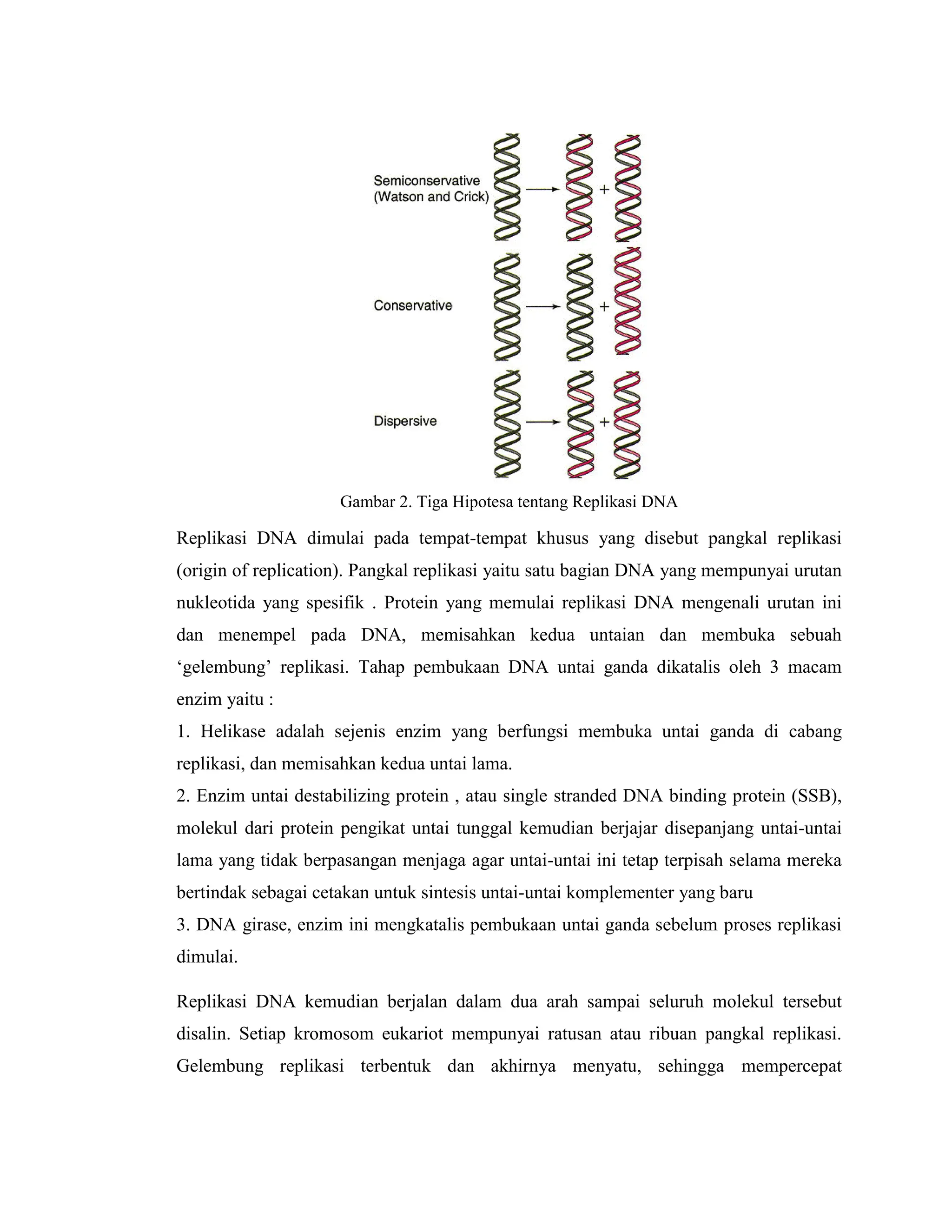 Makalah_sentral_dogma_-Fitria_Dela-.pdf.pdf
