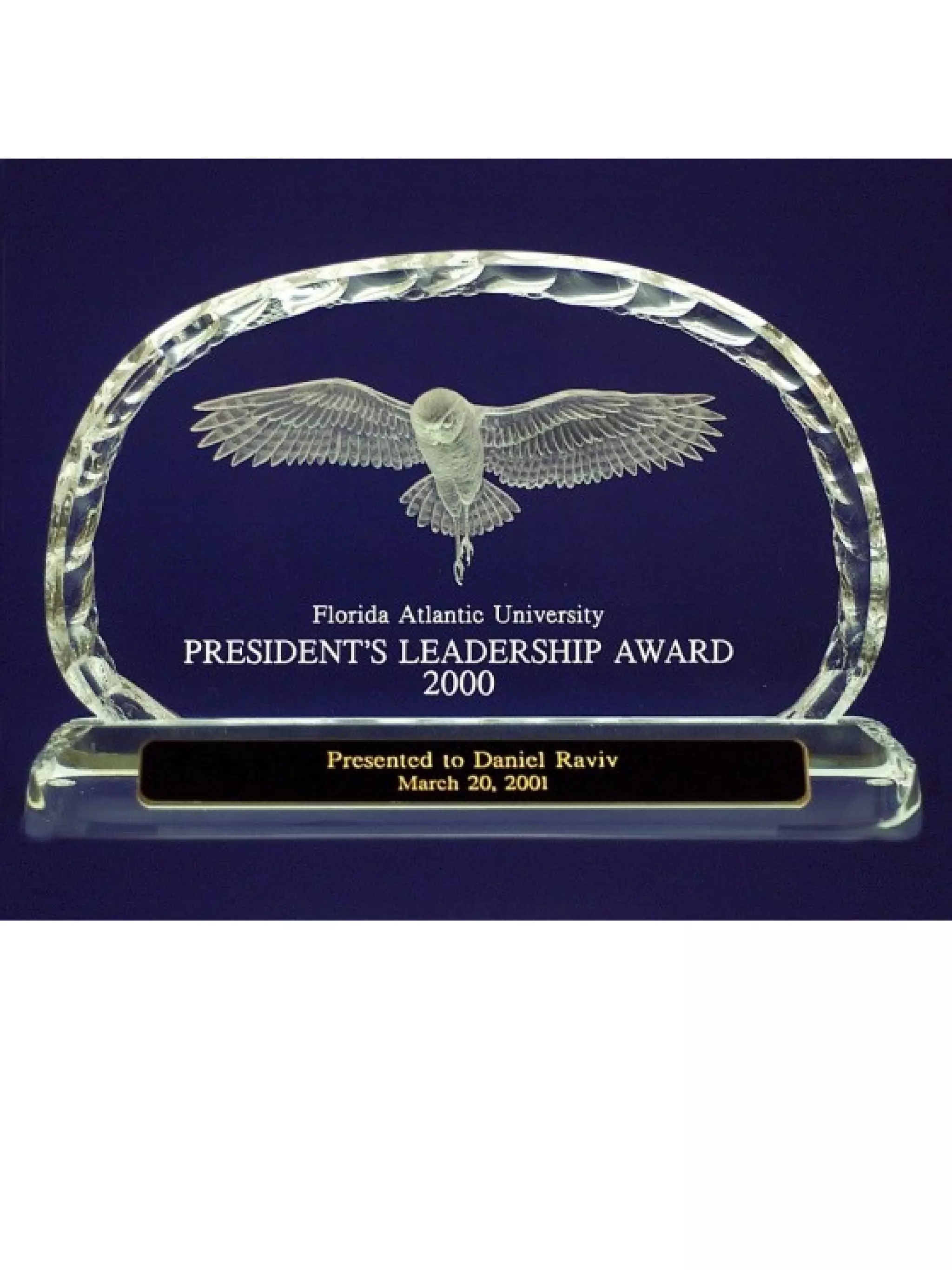 Professor Daniel Raviv - Awards | PDF