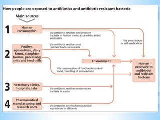 AWaRe Antibiotic.pptx