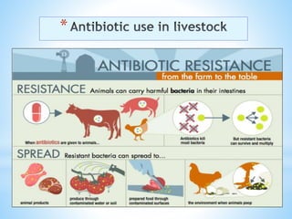 AWaRe Antibiotic.pptx