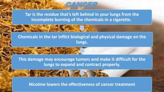 Awareness against tobacco | PPTX