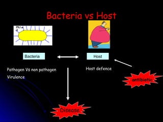 Awareness of antibiotics | PPT
