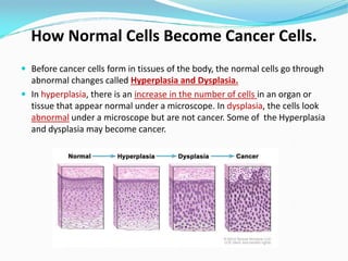 Awareness on Cancer Dr. A. Amsavel | PDF