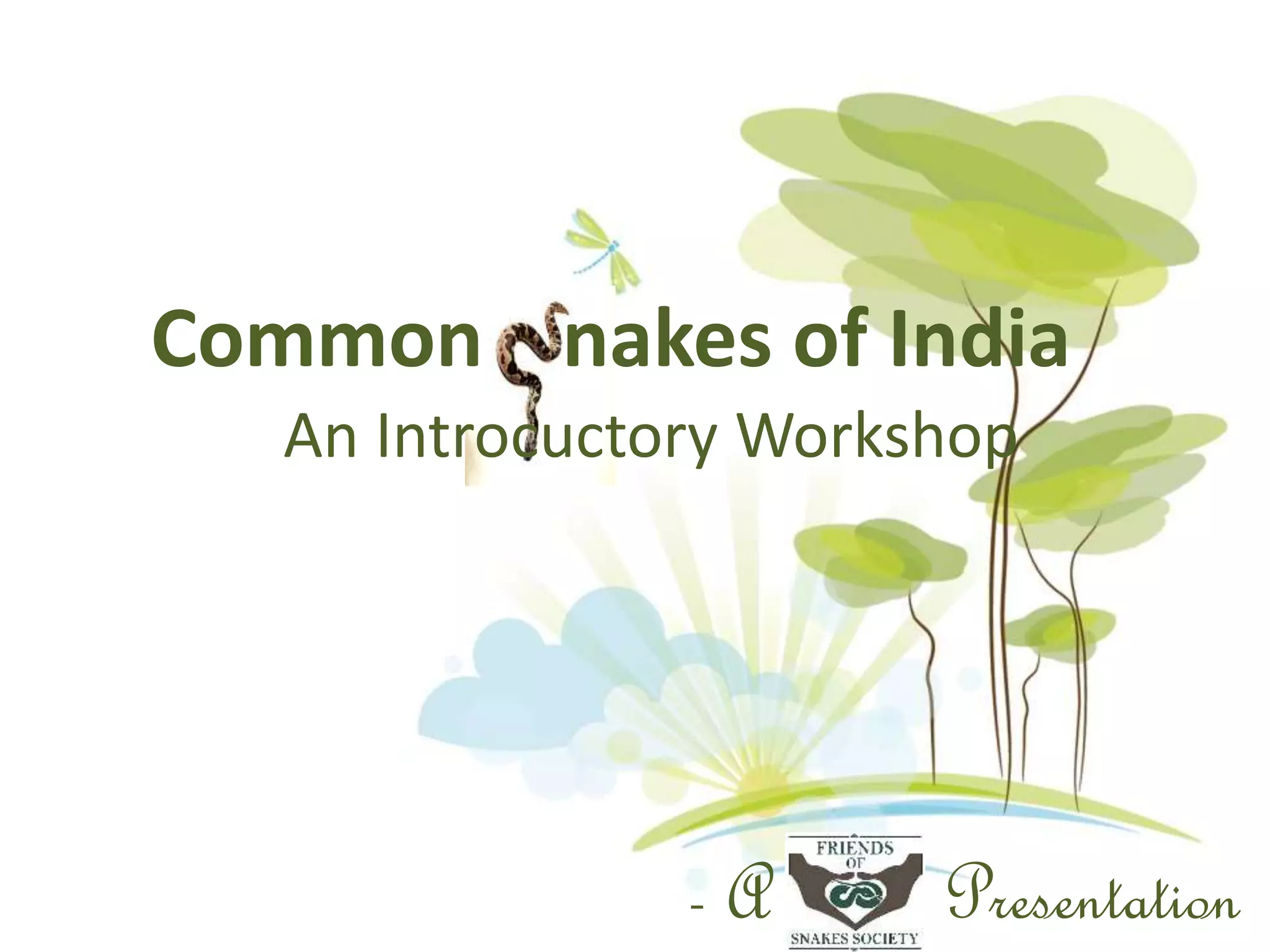 Awareness programme on snakes of India | PPTX