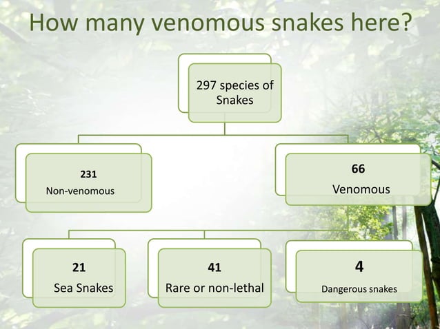 Awareness programme on snakes of India | PPTX