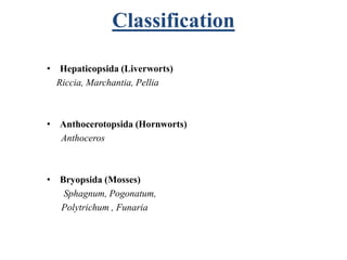 Aw assignment 2 | PPT