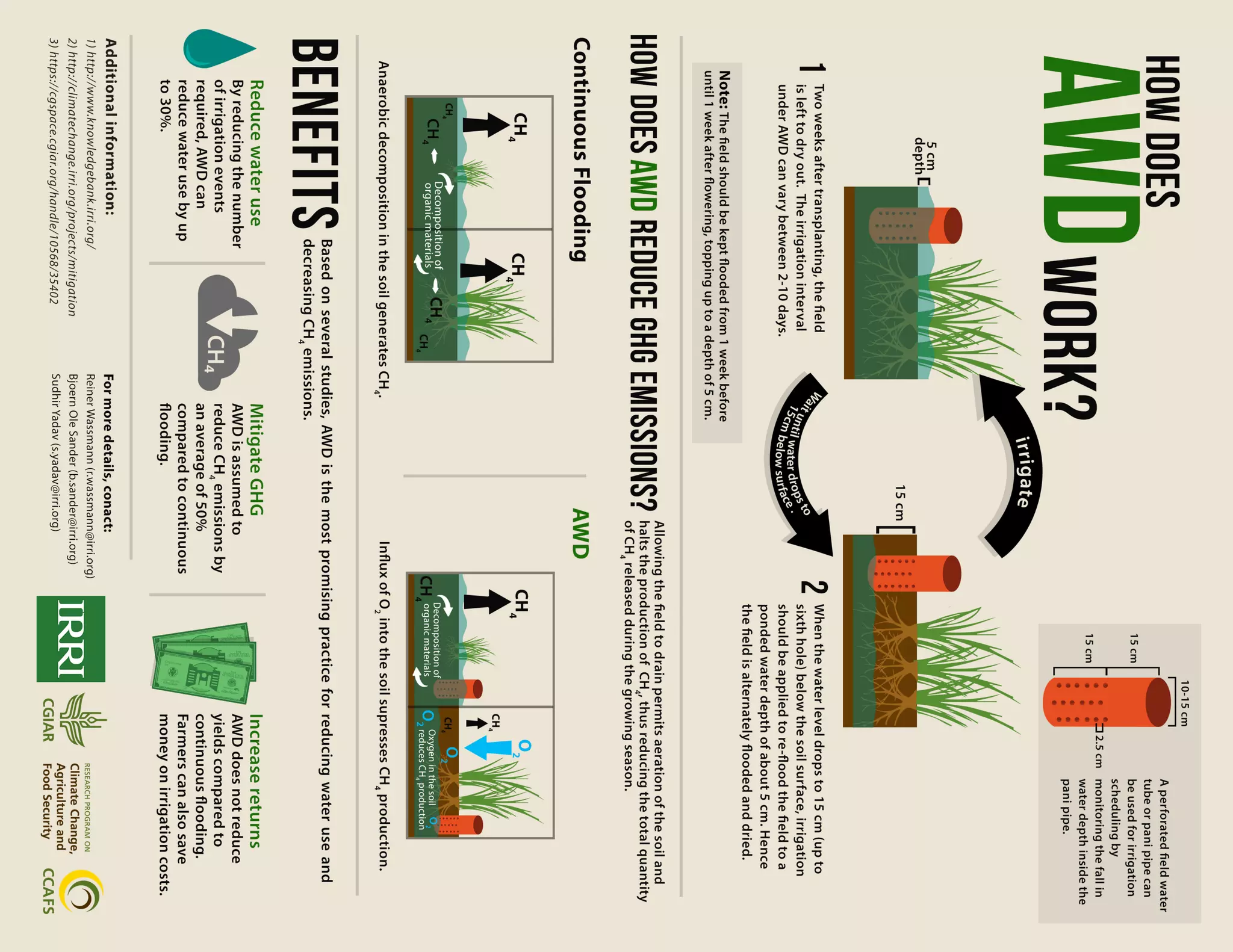 Infographic: Alternate wetting and drying in irrigated rice | PDF