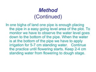 Irrigation water Management, Alternate weting and drying AWD | PPT