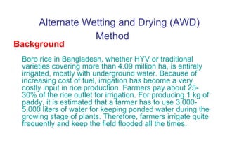Alternate weting and drying AWD, technology for rice | PPT