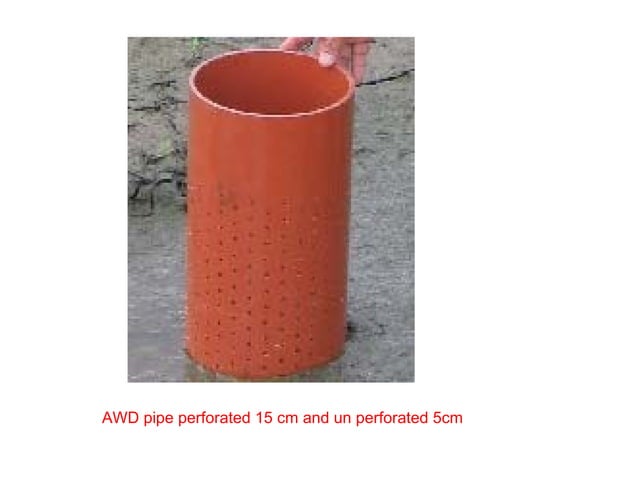Alternate weting and drying AWD, technology for rice | PPT
