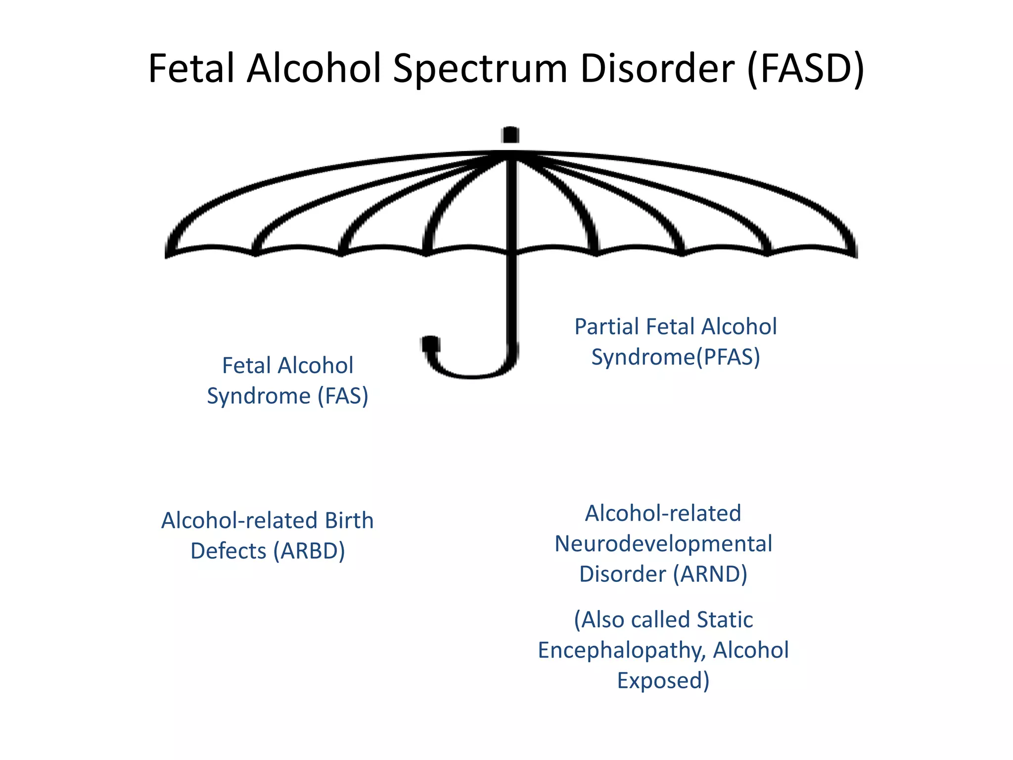 7.fetal alcohol syndrome spina bifida | PPTX