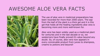 Awesome Aloe Vera Facts | PPTX