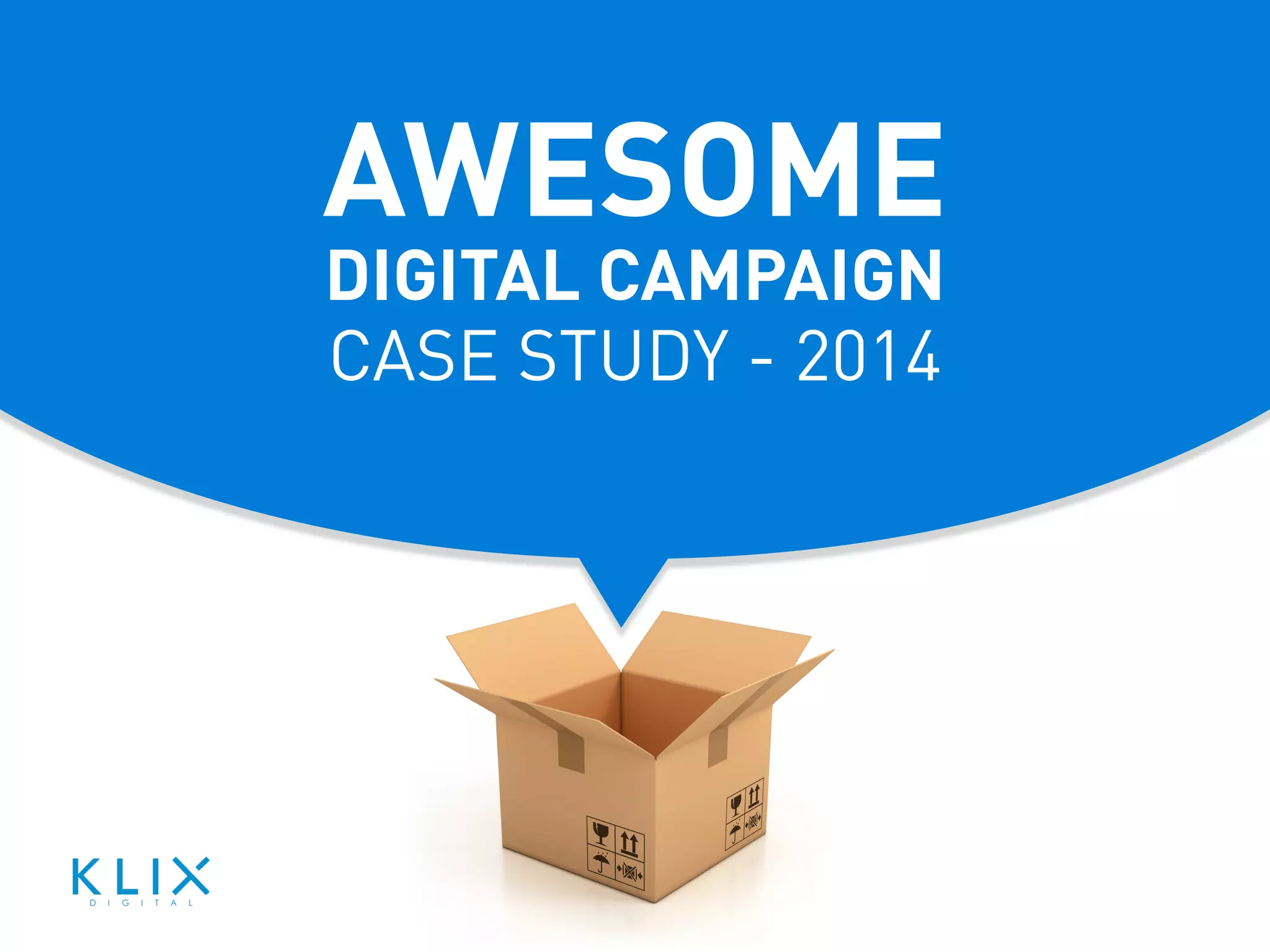 Awesome Digital Campaign Case Study 2014 | PDF