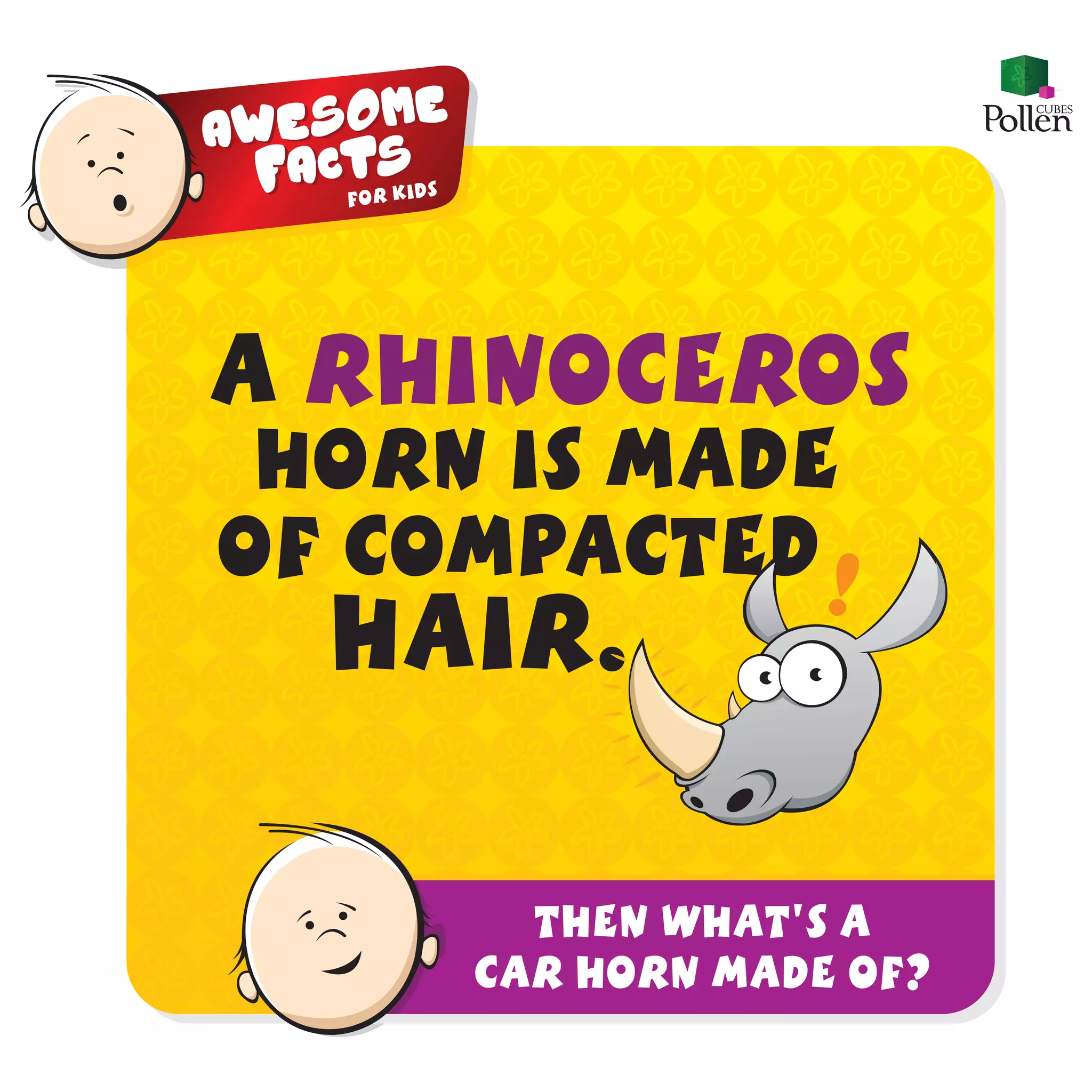 Awesome Facts for Kids | PDF