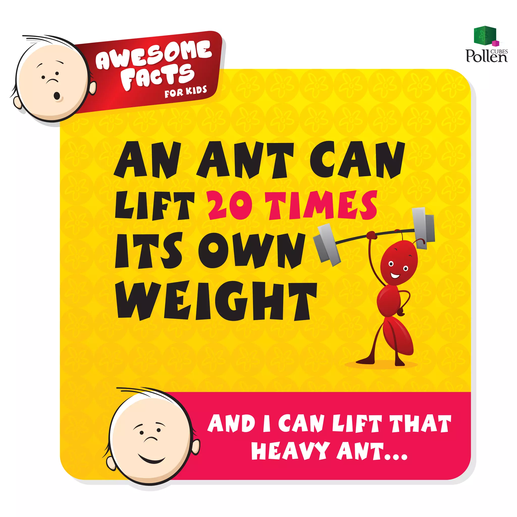 Awesome Facts for Kids | PDF
