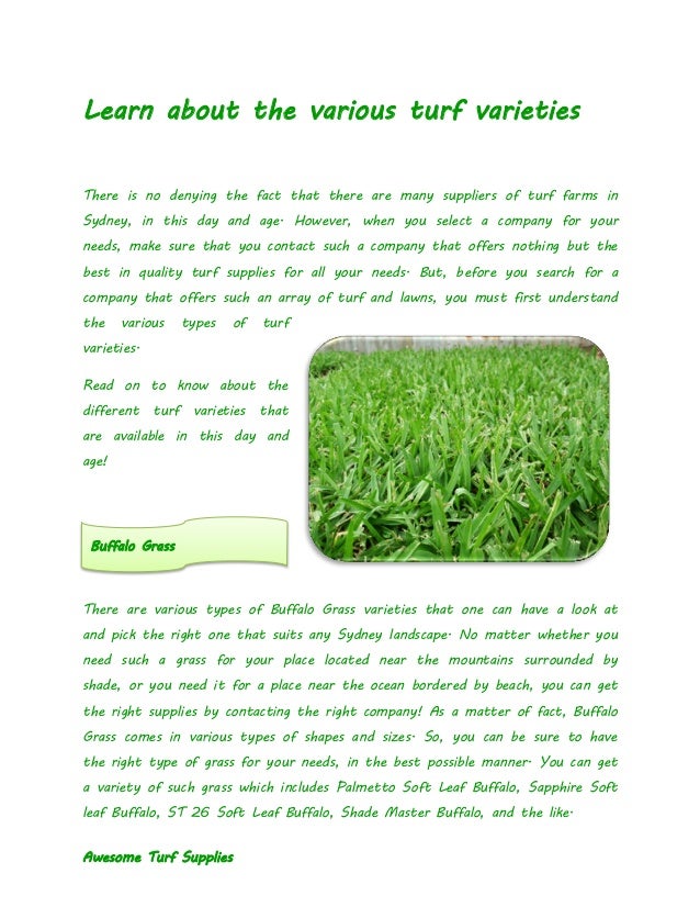 Learn about the various turf varietiesAwesometurf