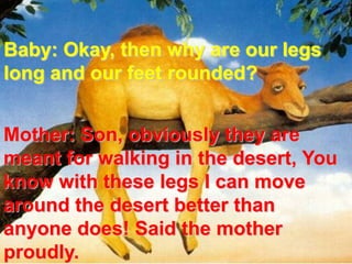 A Wise Camel | PPTX | Pregnancy | Reproductive Health