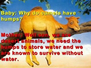 A wise camel | PPS | Pets