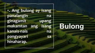 Awiting bayan at Bulong- Grade 7 | PPTX