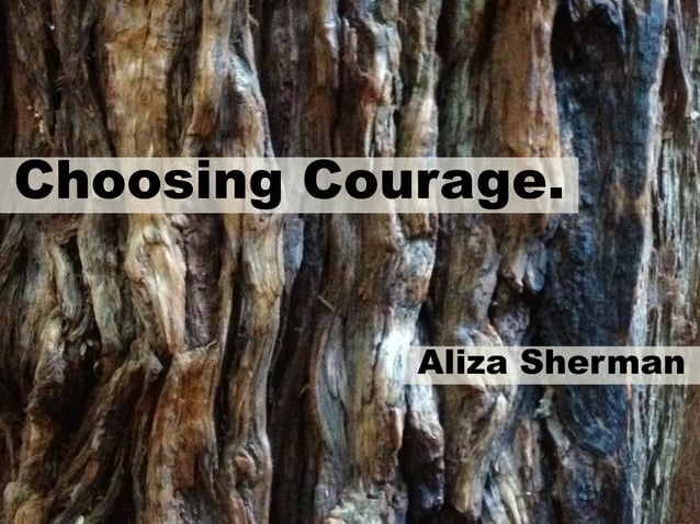 Choosing Courage - Life is a Series of Choices. What do you choose? | PDF