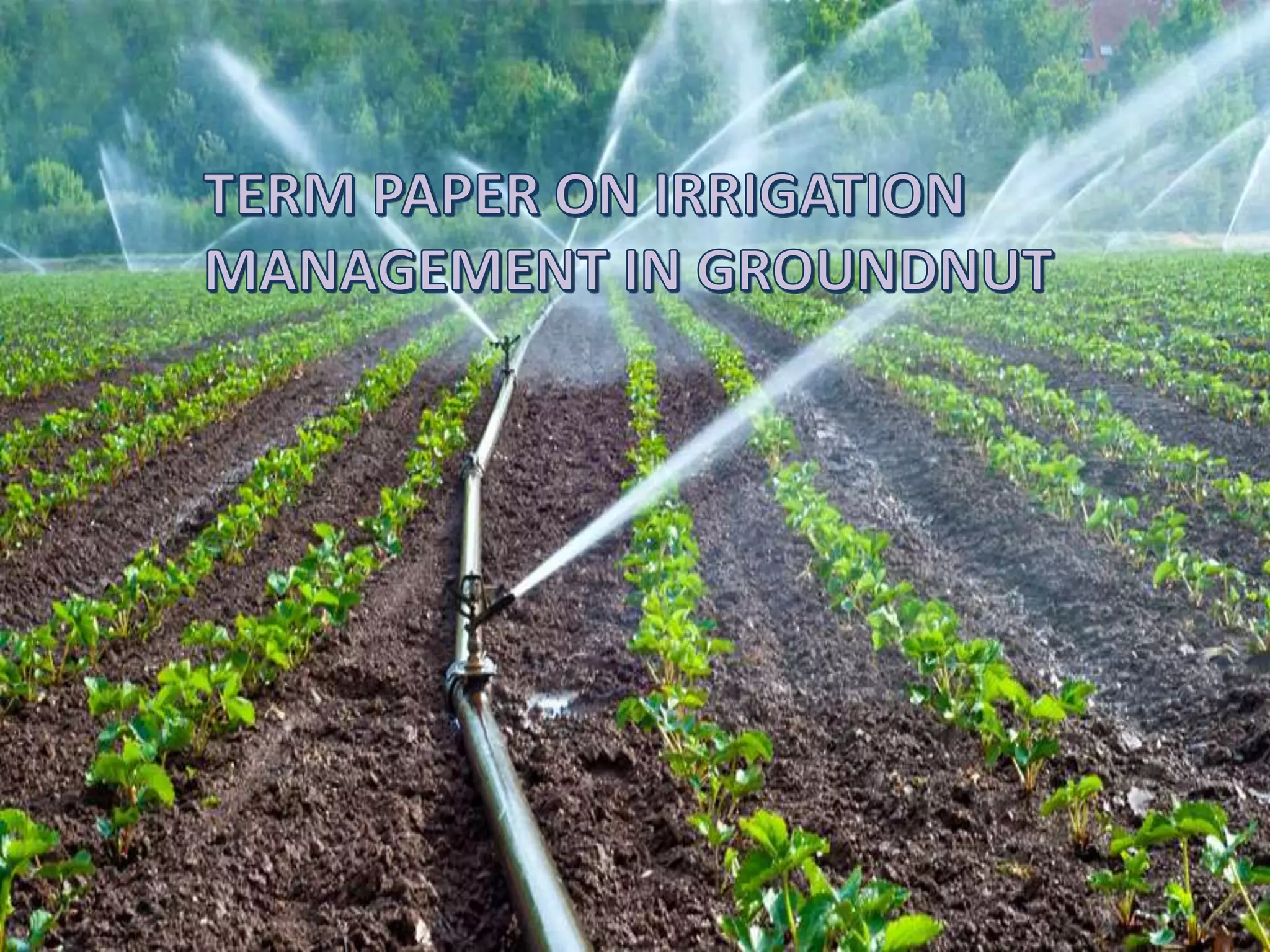 water management in groundnut | PPTX