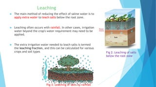 saline water management | PPTX