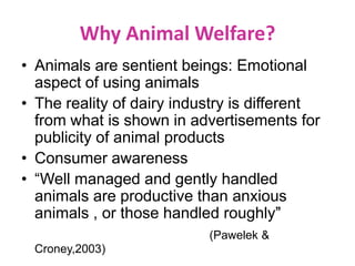 Animal Welfare in mega dairies | PPSX | Veterinary Medicine | Pets