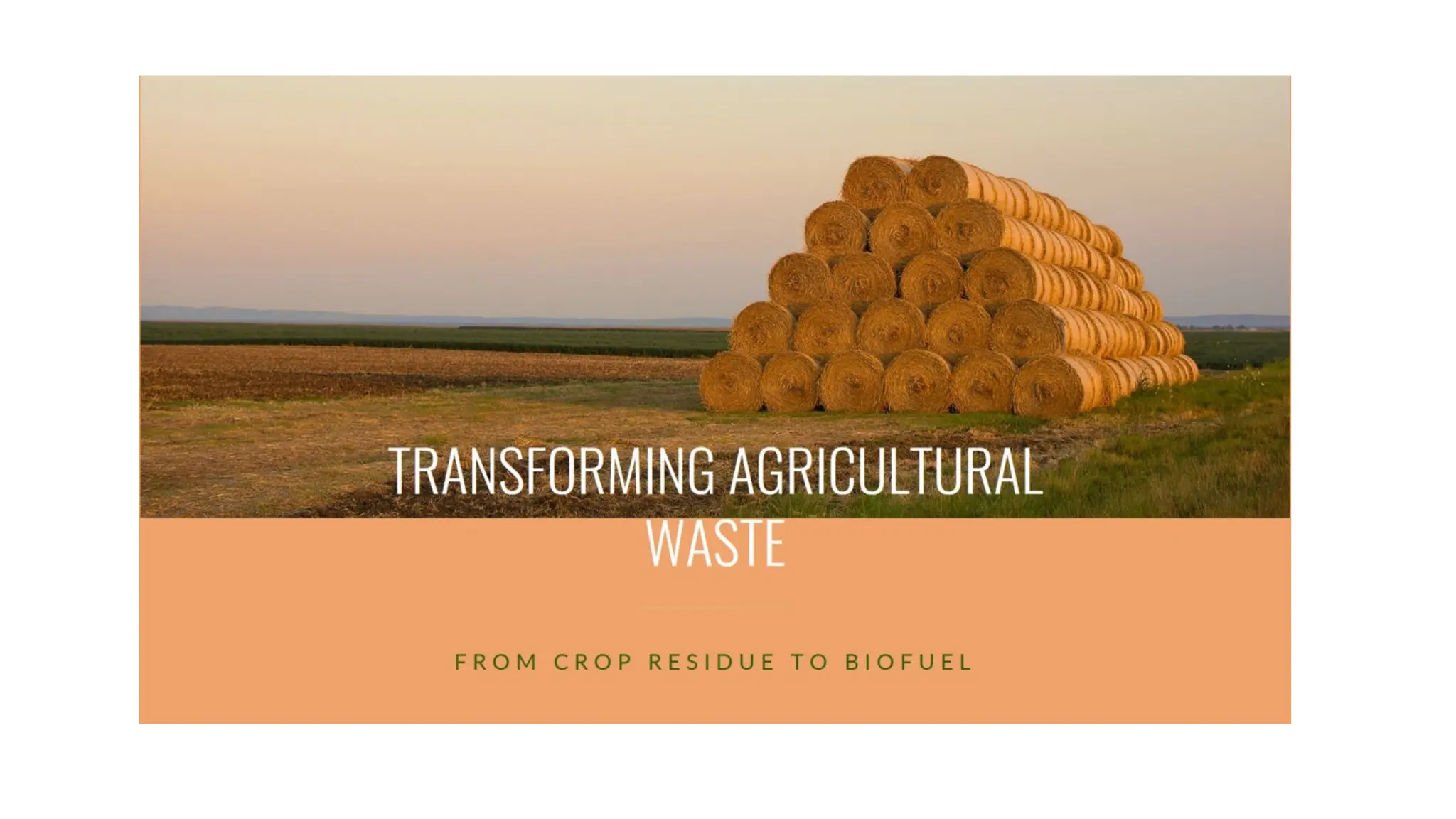 Agricultural Waste Management Presentation.pptx