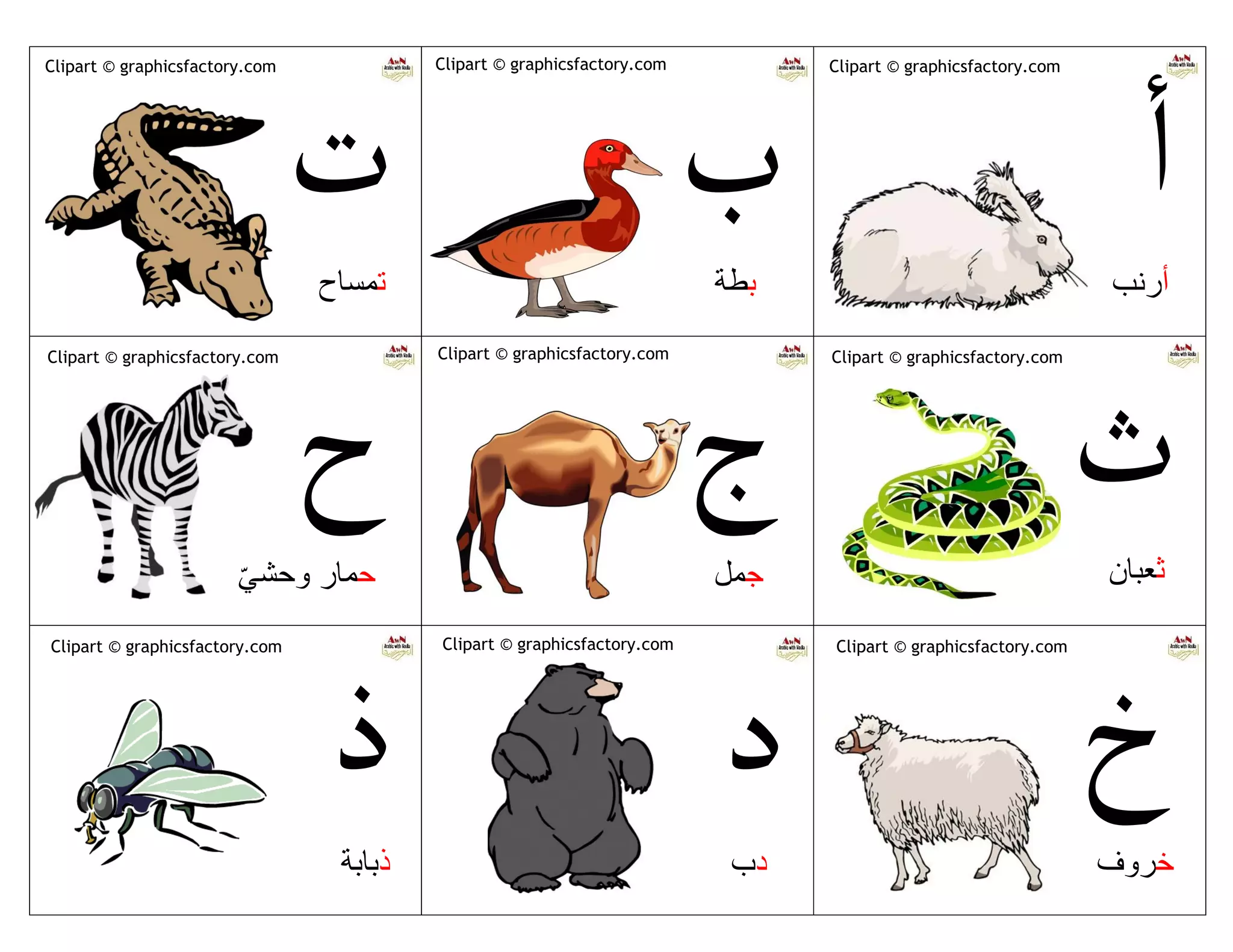 AWN Alphabet flashcards | PDF