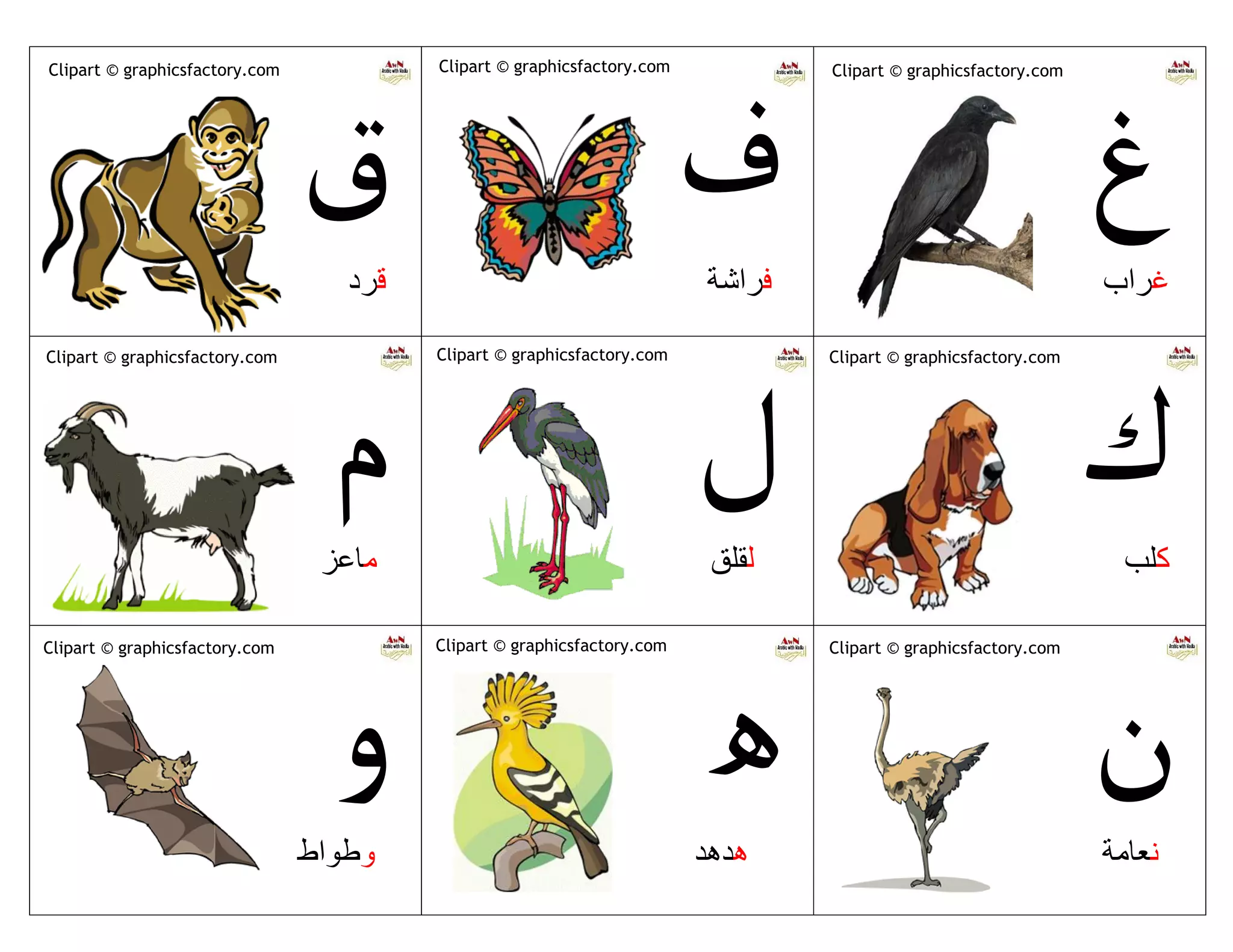 AWN Alphabet flashcards | PDF