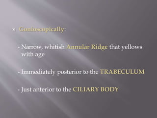 Management of Traumatic Iridodialysis with Hyphaema.pptx