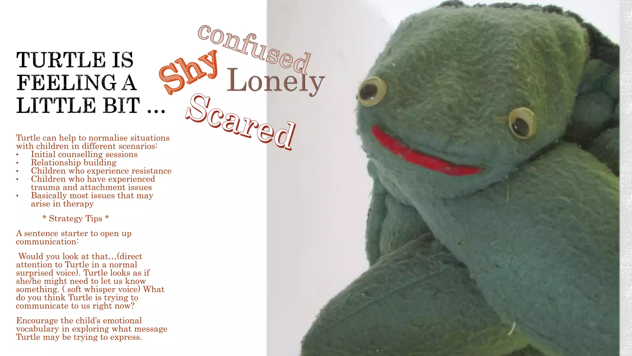 A working turtle | PPT