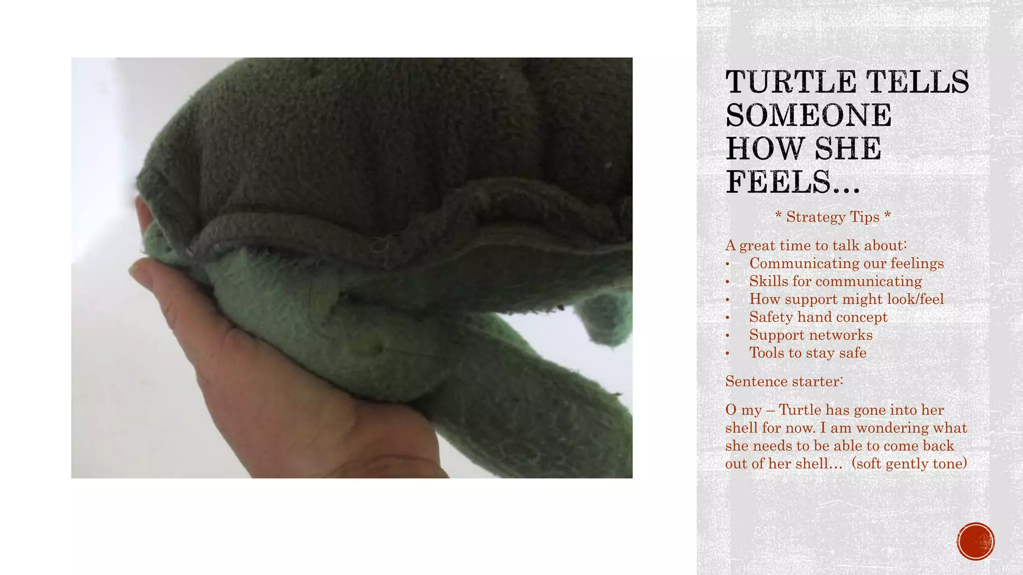 A working turtle | PPT