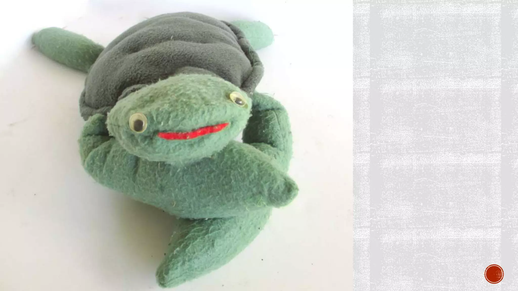 A working turtle | PPT