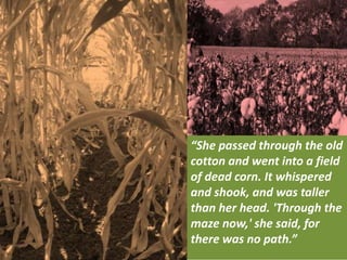 A worn path by Eudora Welty | PPTX