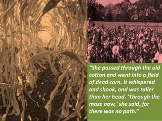 A worn path | PPTX