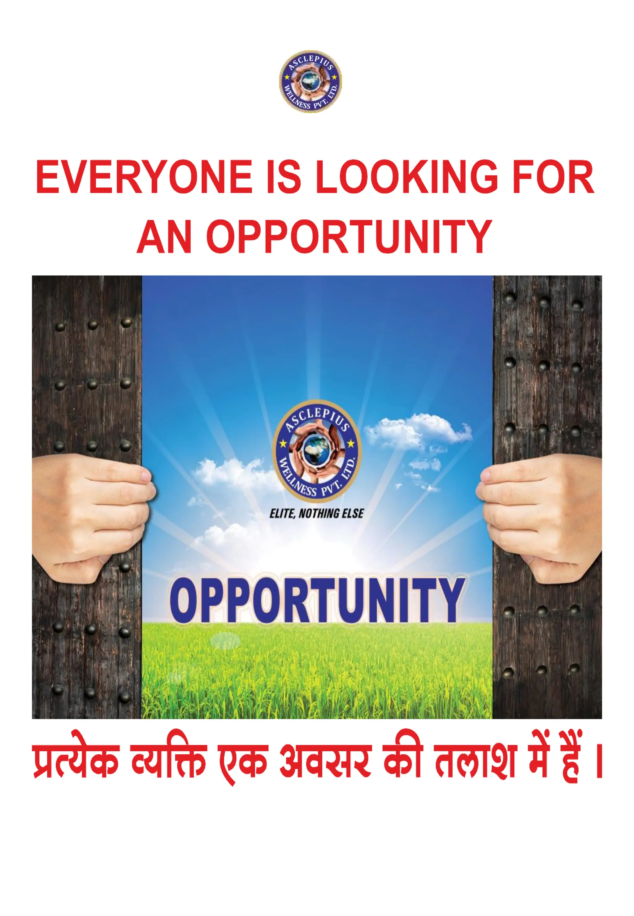 awpl-business-plan.pdf