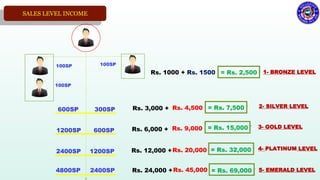 AWPL NEW PLAN PPT 2 (1) (2) (1).pdf help.. | PDF