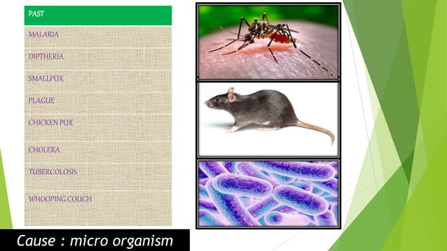 Awpl seminar new plan [recovered] | PPTX