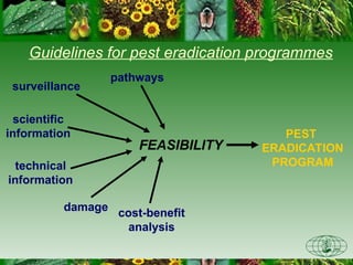 AWPM-2-IPM-pest risk management and analysis | PPT