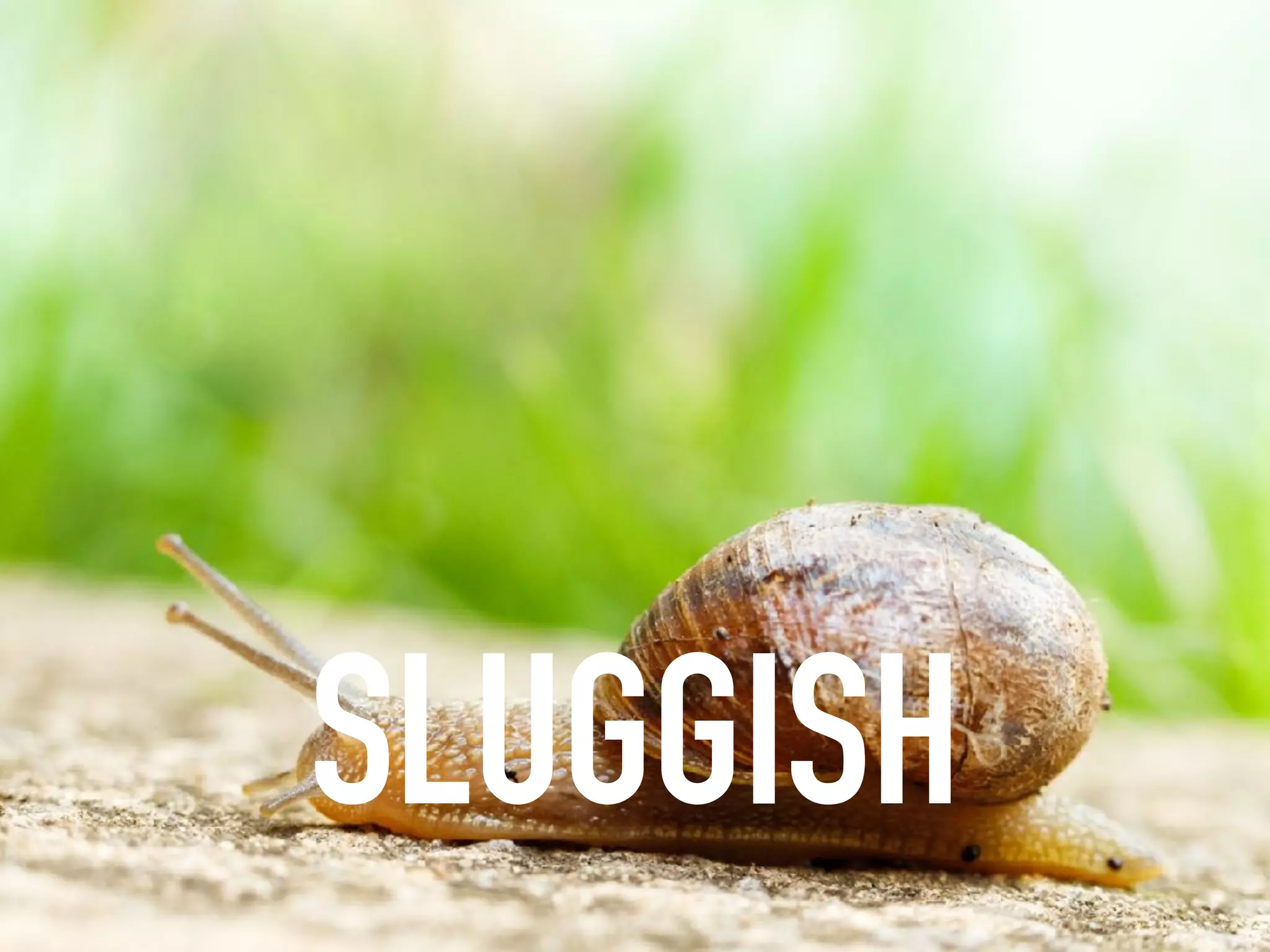 AWS Architecture.pdf