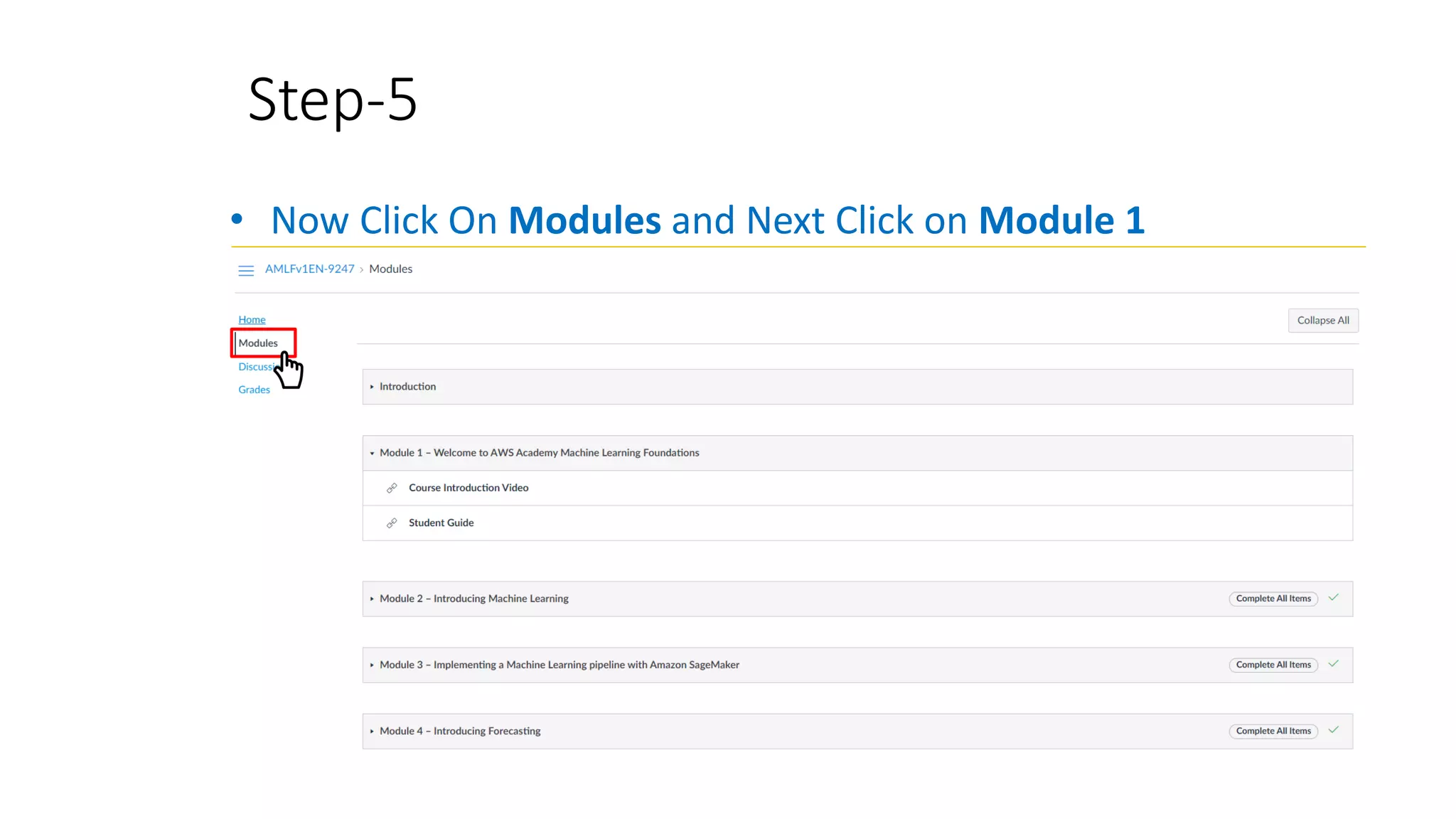 AWS_Reg_Process_Doc_(MLF).pdf
