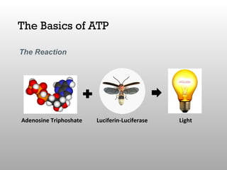 AWWA Biological Treatment Symposium 2016_LuminUltra presentation | PPTX