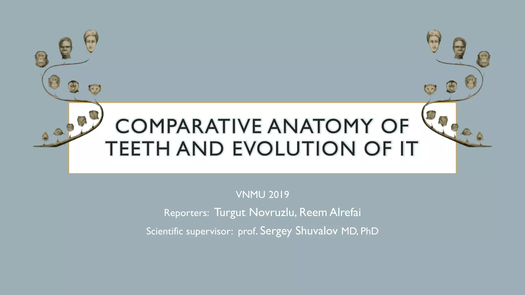 Evolution of teeth in vertebrates | PPTX