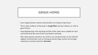 Evolution of teeth in vertebrates | PPTX